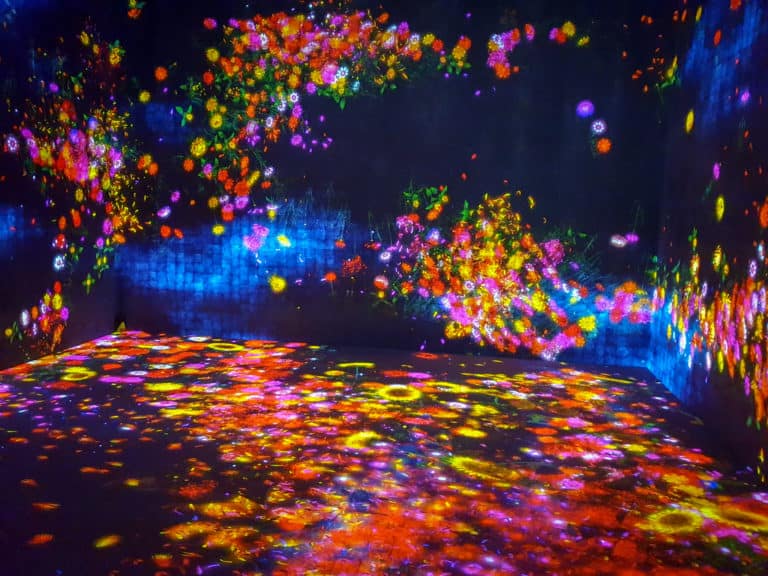 teamLab Borderless- Tokyo, Japan - Four Worn Soles