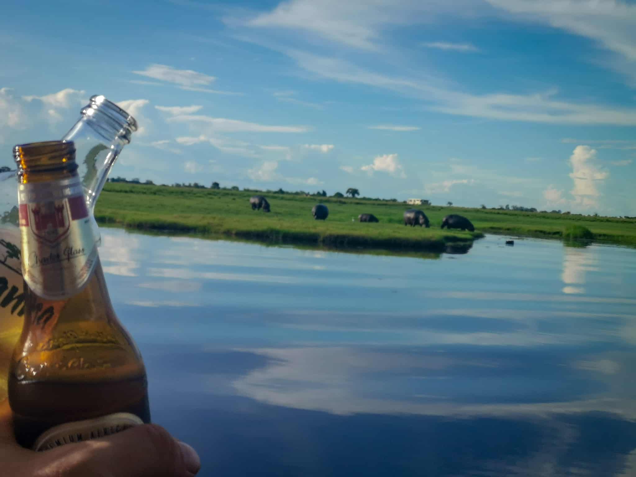 Chobe River Cruise - Four Worn Soles