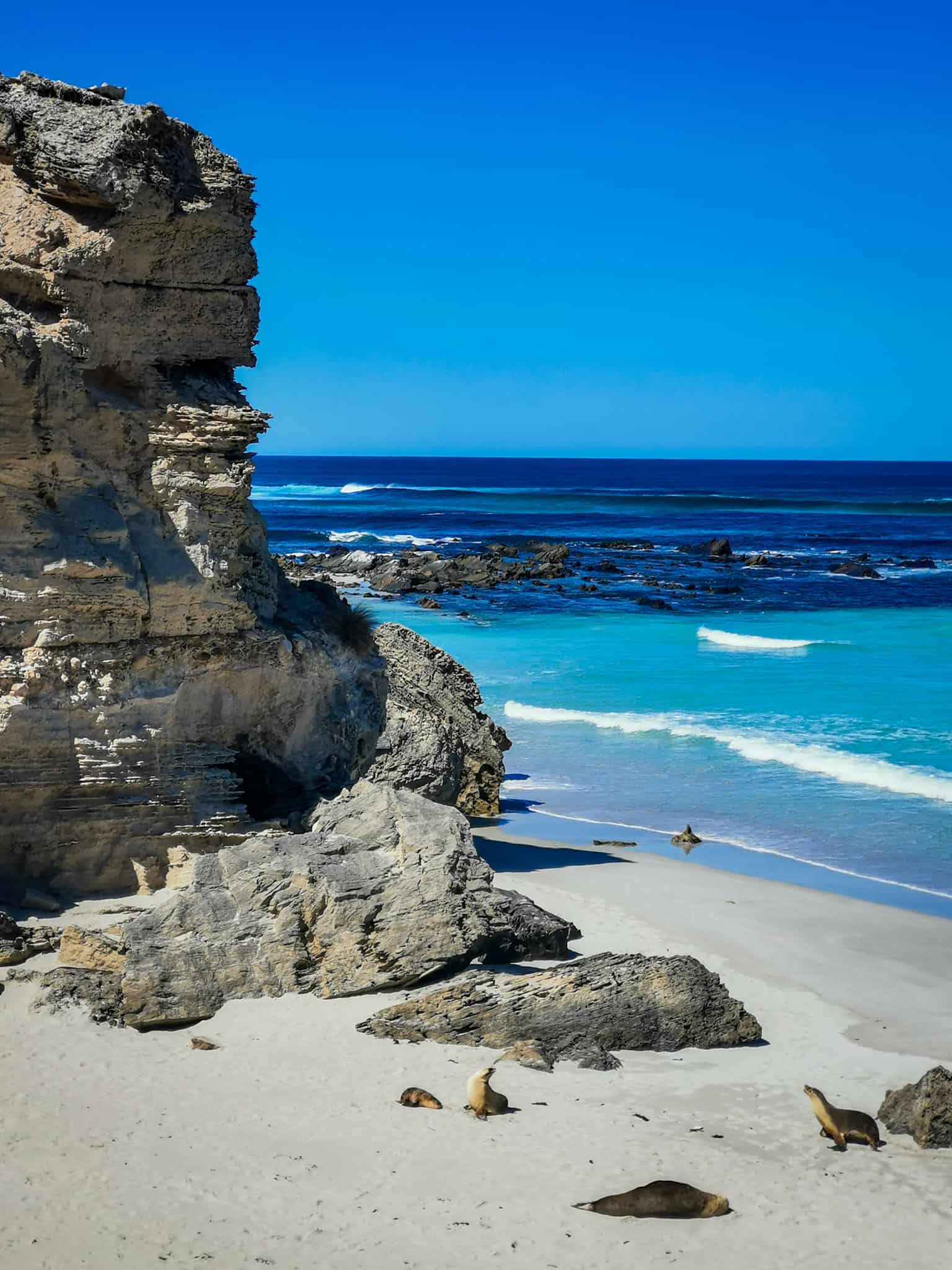 Seal Bay - Kangaroo Island South Australia. - Four Worn Soles