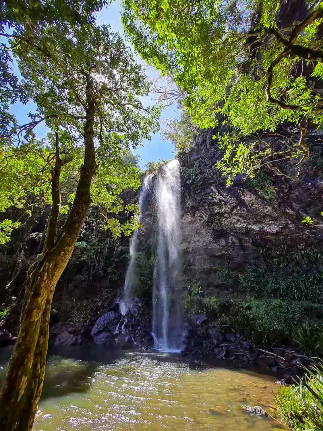 Twin Falls Springbrook - Four Worn Soles