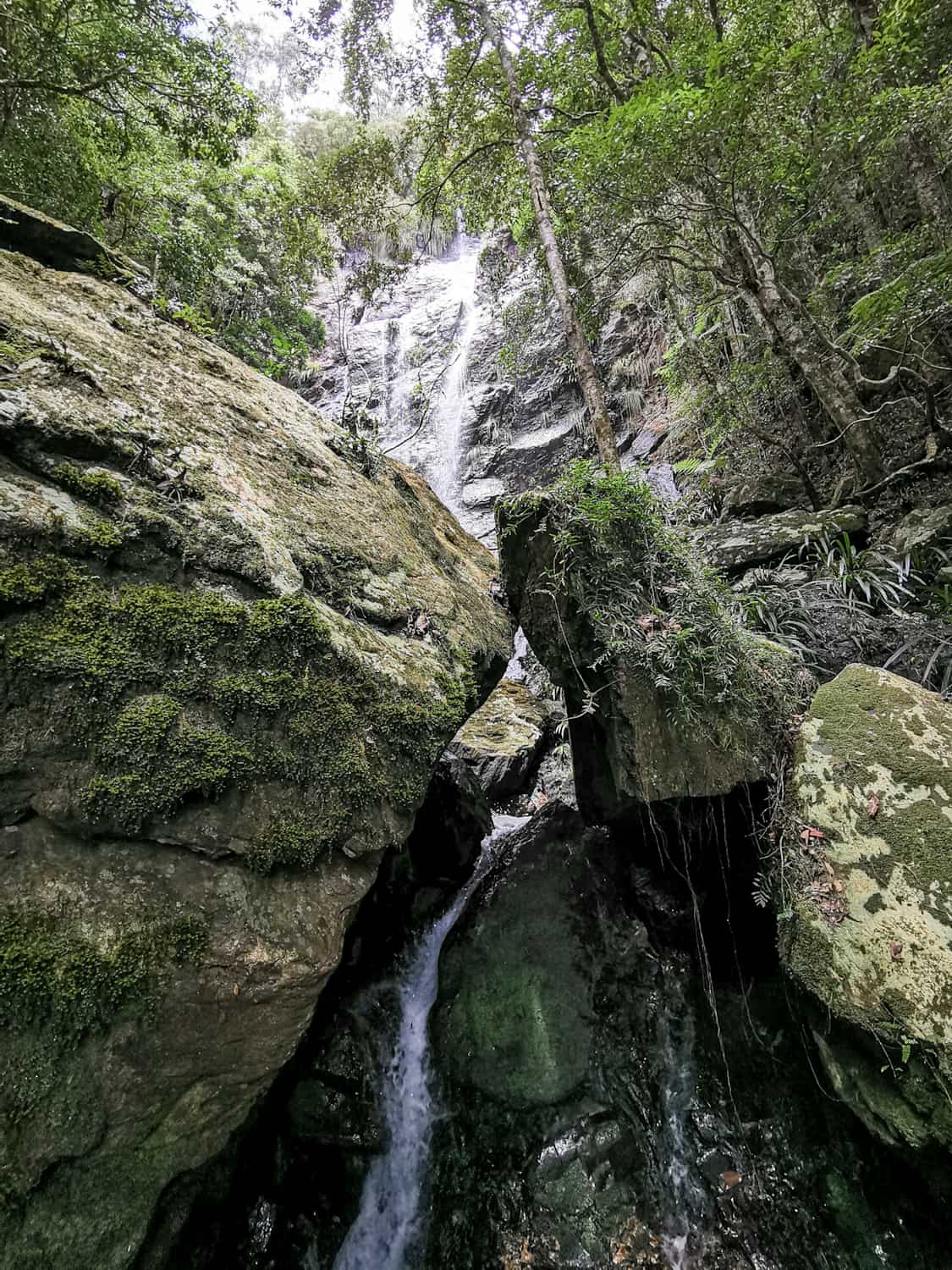 Twin Falls Springbrook - Four Worn Soles