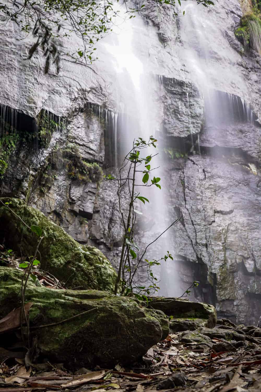 Twin Falls Springbrook - Four Worn Soles