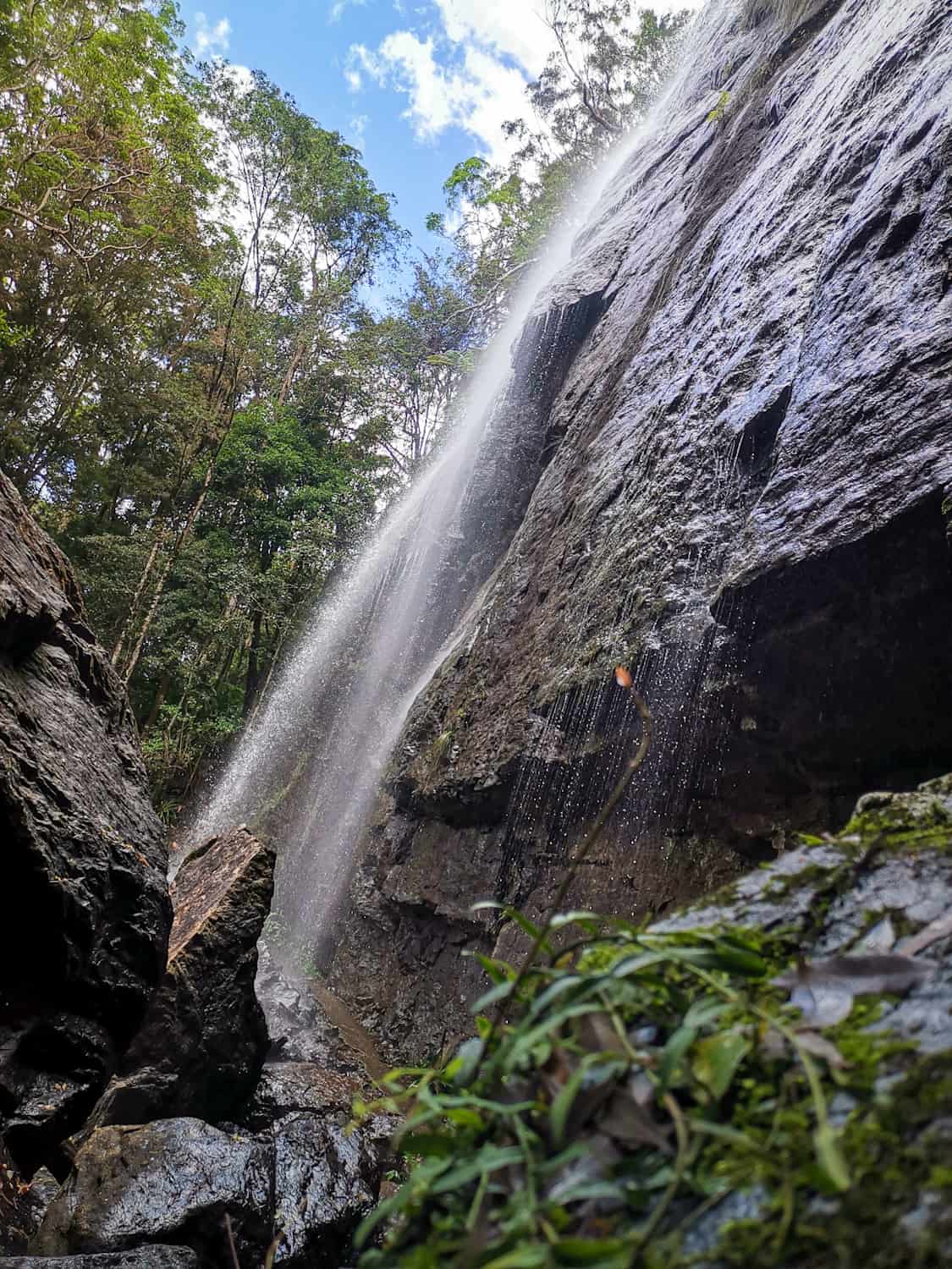 Twin Falls Springbrook - Four Worn Soles