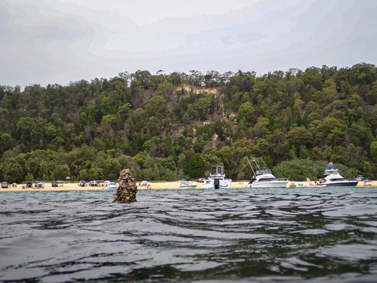 Snorkeling at Tangalooma Wrecks - Four Worn Soles