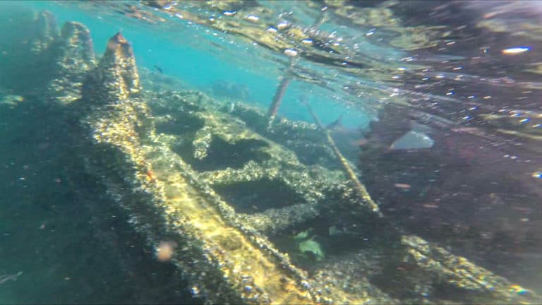 Snorkeling at Tangalooma Wrecks - Four Worn Soles